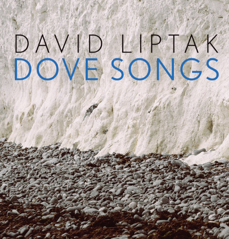 David Liptak / Dove Songs – Ficción de la razón
